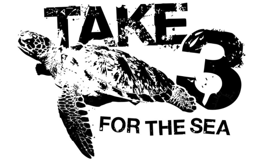 Take 3 for the Sea - AVID